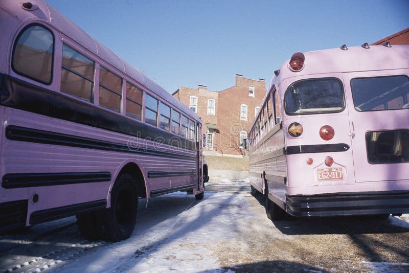 Pink school buses editorial photography. Image of parked - 23162192