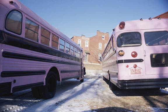 Pink school buses editorial photography. Image of parked - 23162192