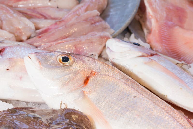 Pink Sea Bream Resting on a Bed of Ice Stock Photo - Image of diet ...