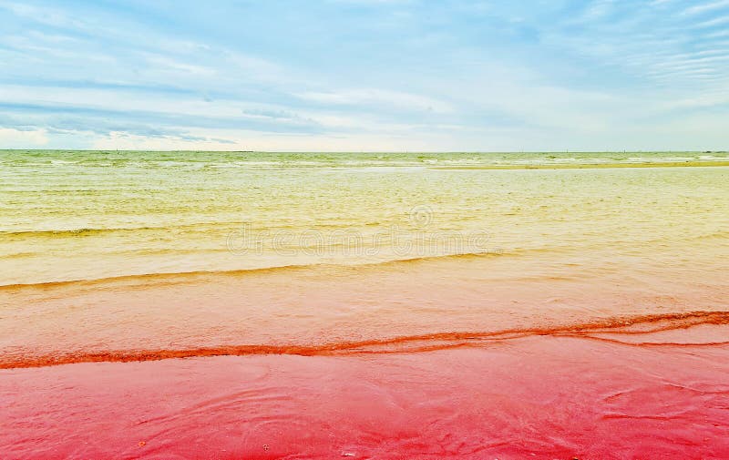 Pink sea and bright sky stock photo. Image of morning - 197746774