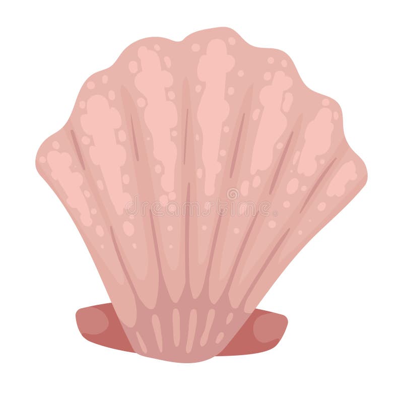 Pink sea shell stock vector. Illustration of nature - 251313116
