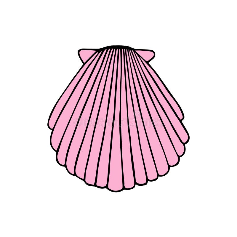 Sea Shell Line Illustration Stock Illustrations – 22,938 Sea Shell Line ...
