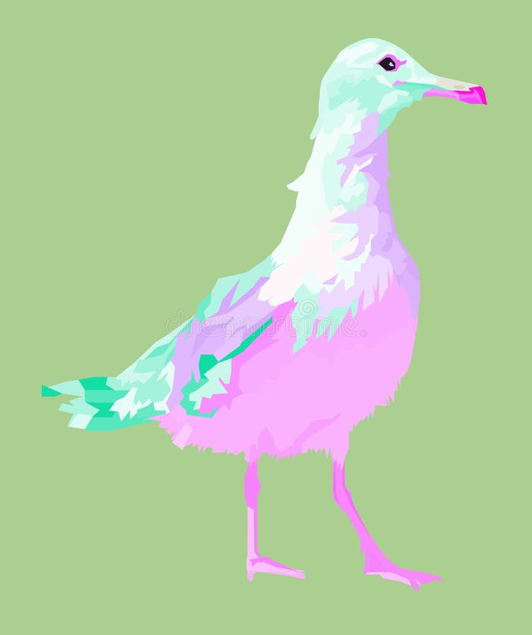 Pink seagull stock illustration. Illustration of animal - 73767907