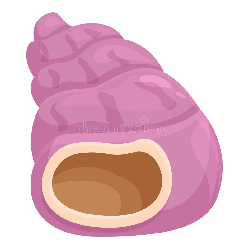 Pink Seashell Showing Empty Inside on White Background Stock Vector ...