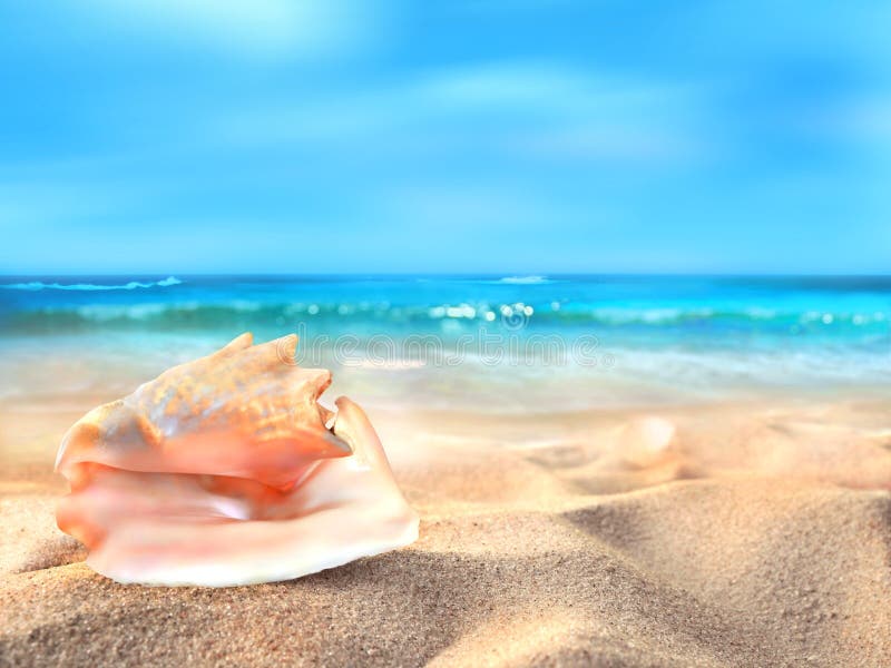 Pink Seashell with Shadow on a Pink Background. 3d Render Illustration ...