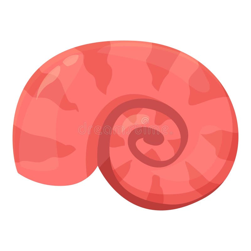 Pink Seashell Stock Illustrations – 11,589 Pink Seashell Stock ...