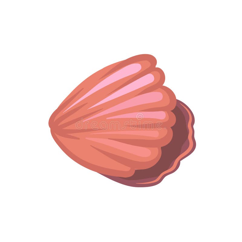 Seashell Nacre Stock Illustrations – 480 Seashell Nacre Stock ...