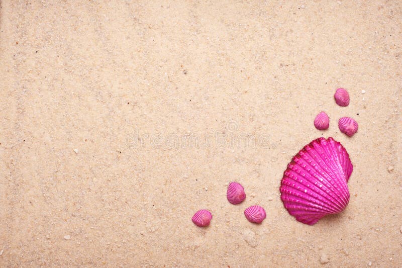 Pink Shell And Sand Background Stock Image - Image of grained, pattern ...