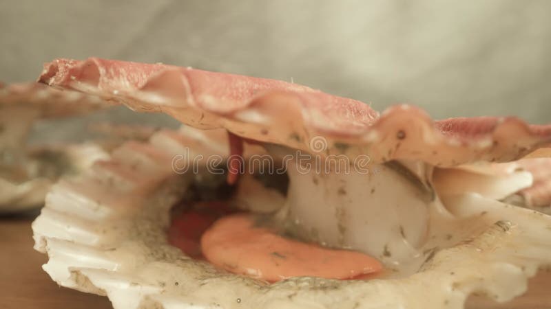 Live Shellfish Opens and Closes Shell Lying in Pile on Table Stock ...
