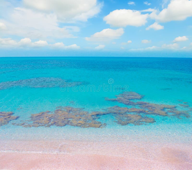 Pink Shore Under a Cloudy Sky Stock Image - Image of blue, sunny: 57695703