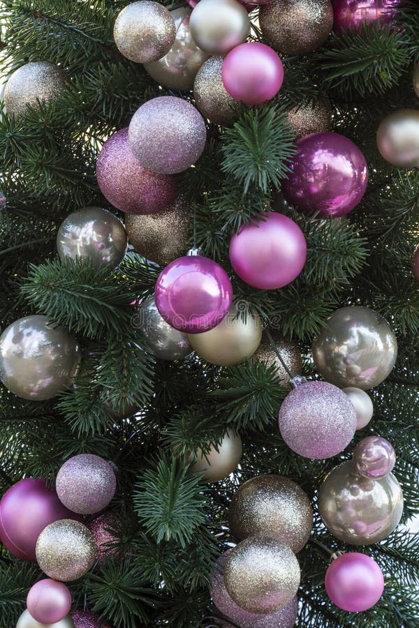 Pink and Silver Balls on the Christmas Tree Stock Photo - Image of gift ...