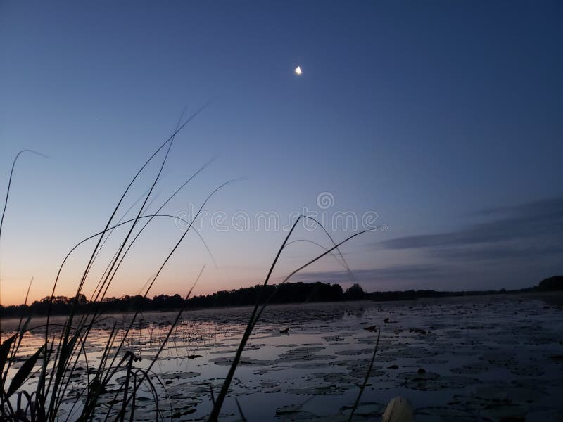 Pink sky dark nights alone stock image. Image of water - 219719031