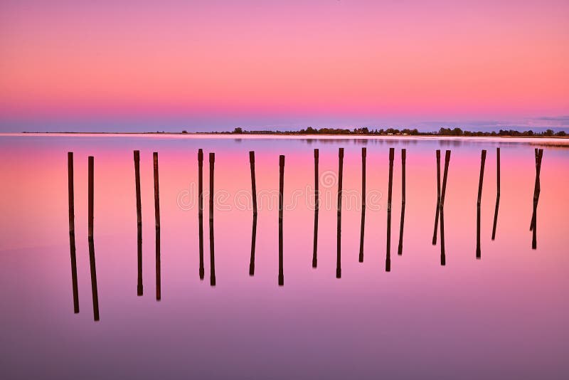 Pink Sky Reflection in the Water with Stakes in the Water Stock Image ...