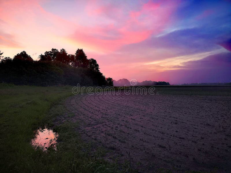Pink sky after a storm stock image. Image of pink, rain - 191917061