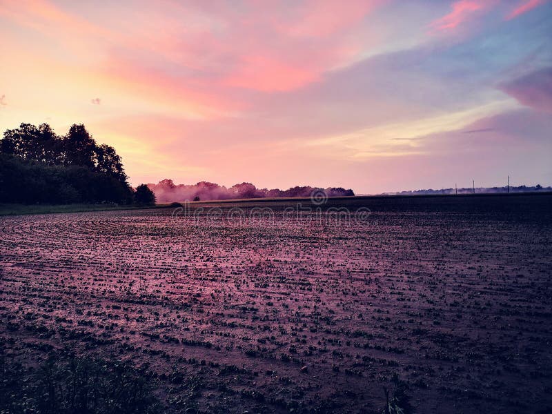 Pink sky after a storm stock image. Image of rain, skies - 191917079