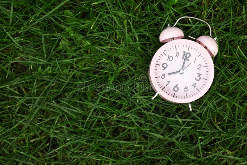 Pink Small Alarm Clock on Green Grass Outdoors, Top View. Space for ...