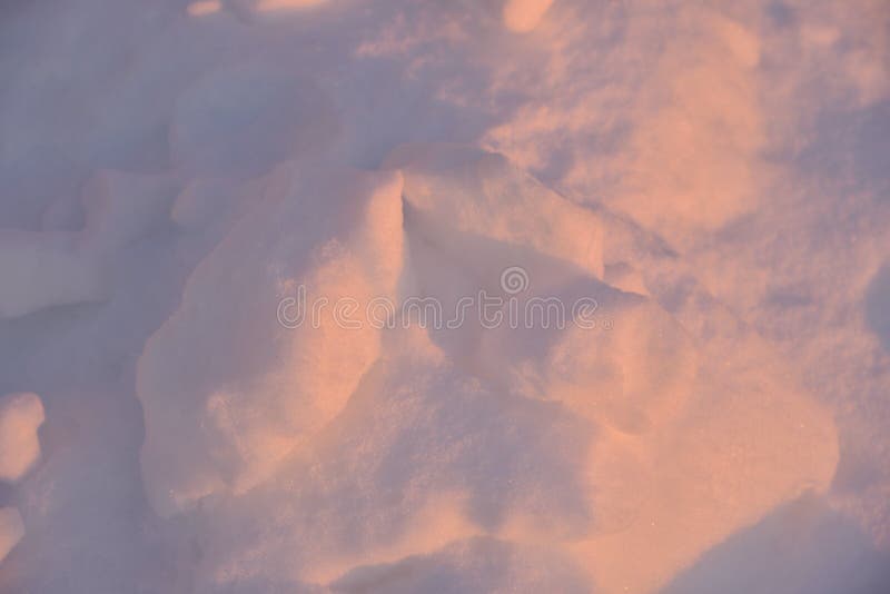 Pink Snow Winters in the Light of the Setting Sun. Pink and Blue Winter ...