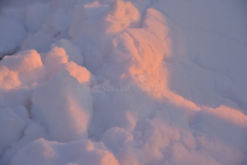 Pink Snow Winters in the Light of the Setting Sun. Pink and Blue Winter ...