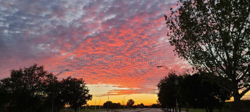 Pink South Texas Sky at Sunset Road Stock Image - Image of pink, road ...