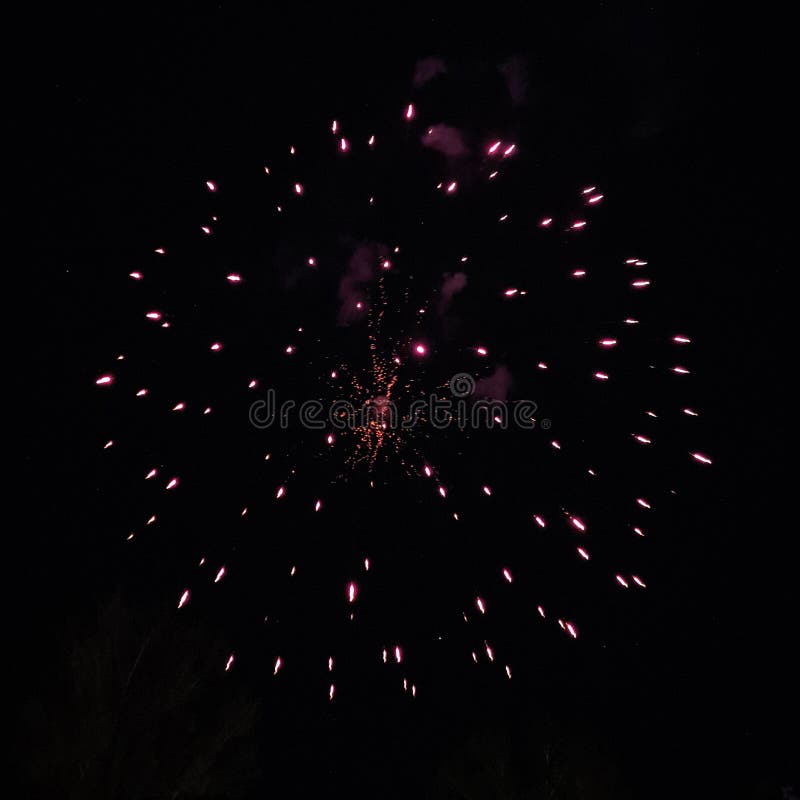 Pink Sparks of Real Fireworks on Black Sky Background for Overlay ...