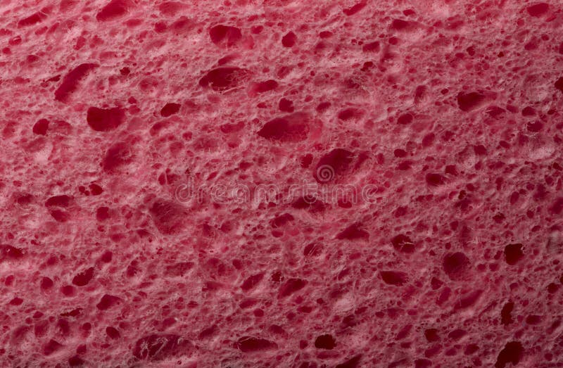 Pink Sponge stock image. Image of sponge, porous, soft - 14857413