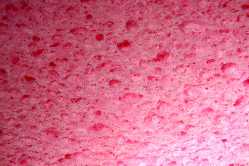 Pink sponge stock image. Image of bumpy, porous, rough - 2693455
