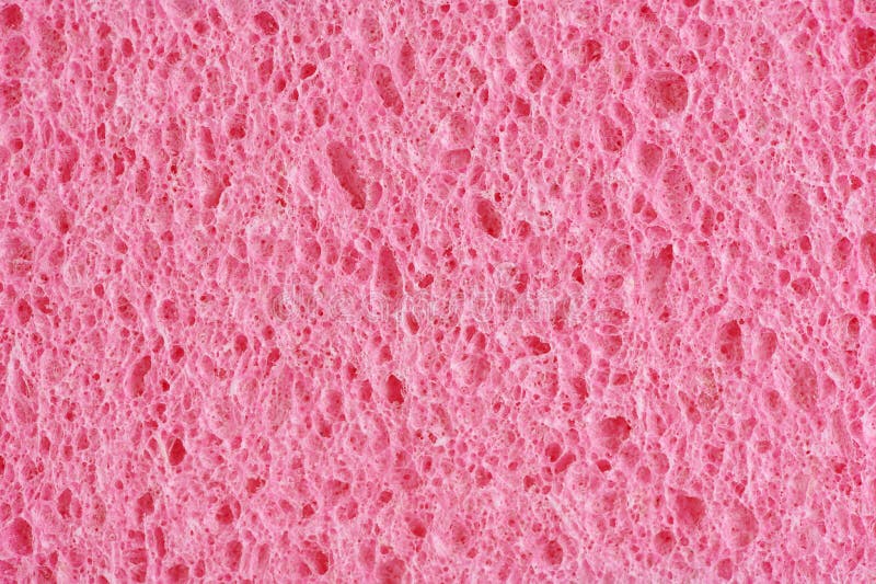 Sea sponge detail stock image. Image of gross, background - 21715499