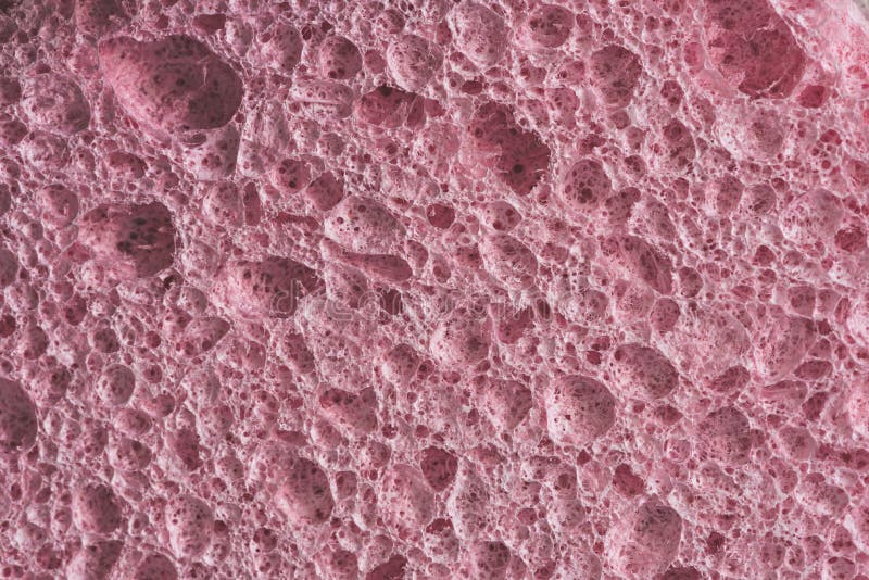 Pink Sponge Texture Background Stock Image - Image of extreme, body ...