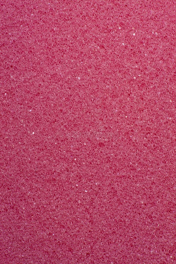 Pink Sponge Texture Surface Stock Photo - Image of blank, object: 23098374