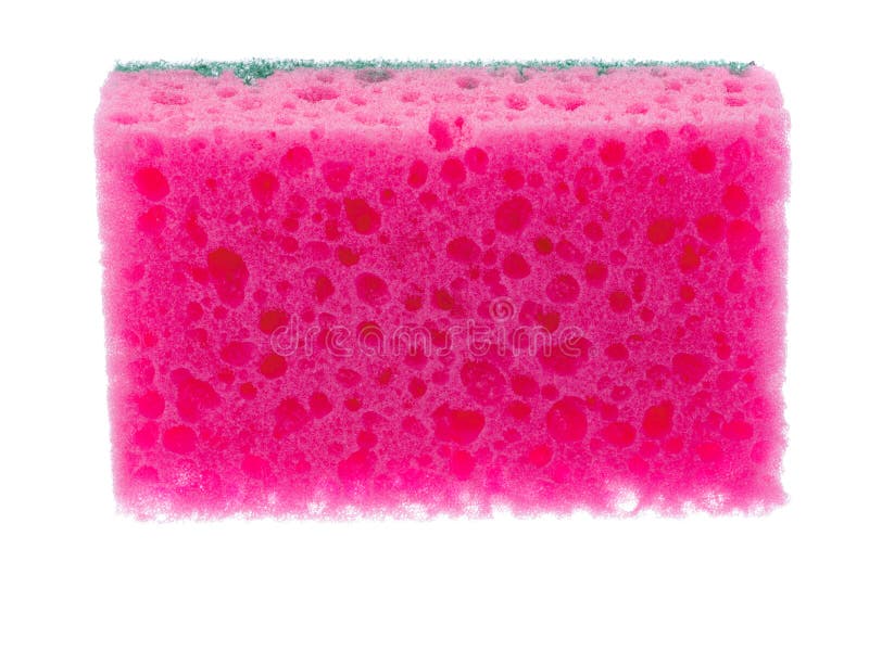Pink Sponge on White Isolated Background Stock Photo - Image of ...