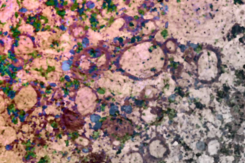 Pink Spots and Circles Texture, Background Abstraction Circles Stock ...