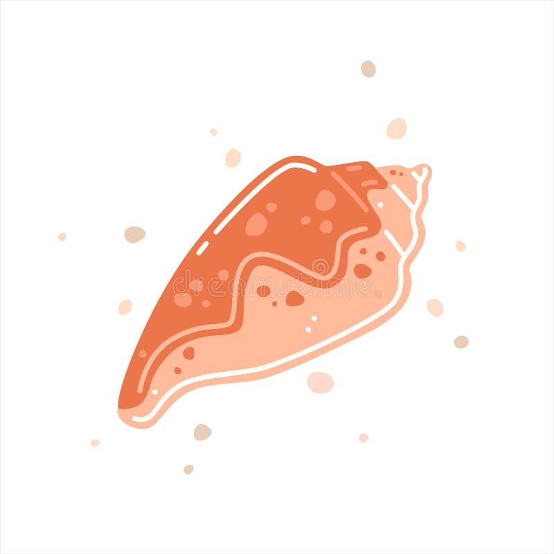 Pink Spotted Seashell, Cone Shell Conidae. Vector Flat Illustration ...