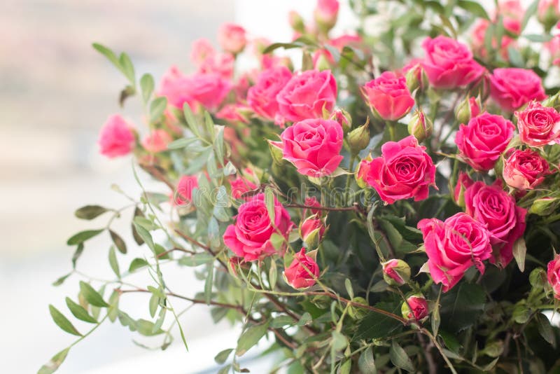 Pink Spray Roses Bouquet on the Window Stock Image - Image of bouquet ...
