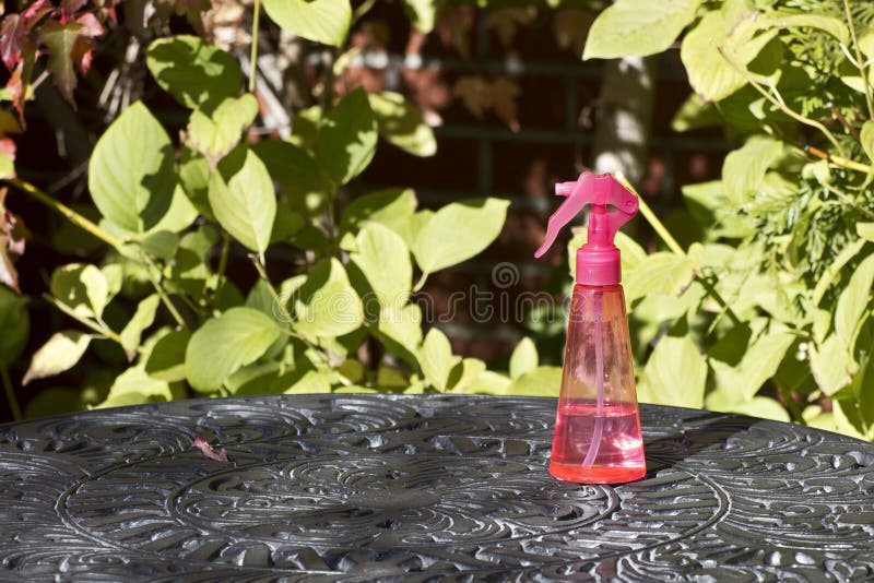 Pink Spray Water Bottle on Garden Table Stock Image - Image of iron ...