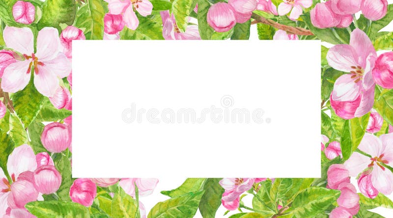 Pink Spring Flowers, Buds and Leaves Floral Frame. Watercolor ...