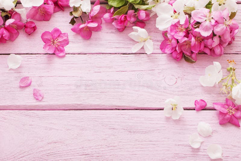 Pink Spring Flowers on Wooden Background Stock Image - Image of nature ...