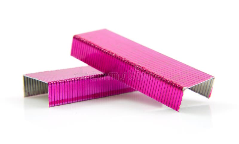 Pink staples stock photo. Image of business, purple, isolated - 11469870