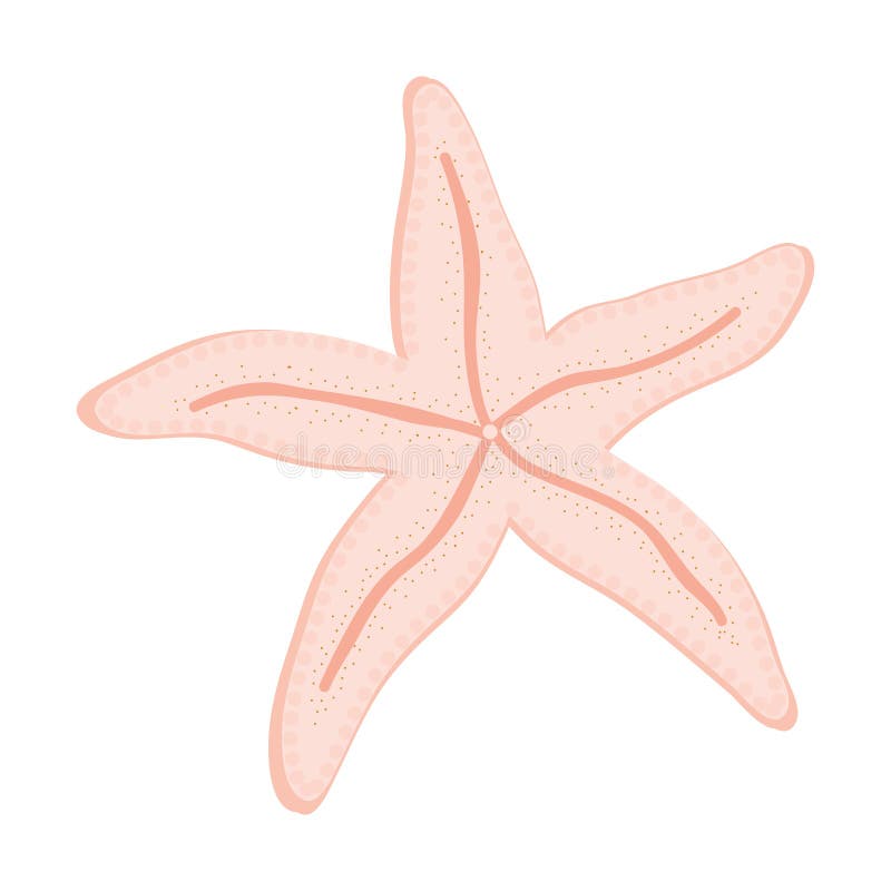 Pink starfish isolated stock vector. Illustration of ocean - 213860866