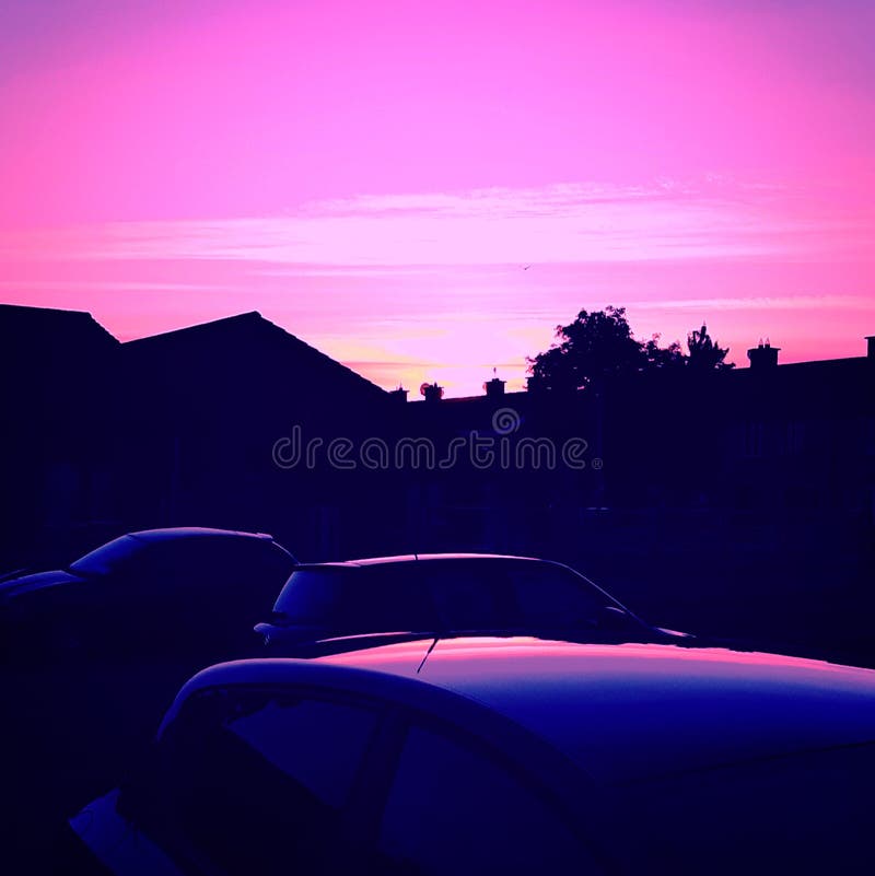 Pink Sun Set stock photo. Image of sunset, sunrise, horizon - 189493466