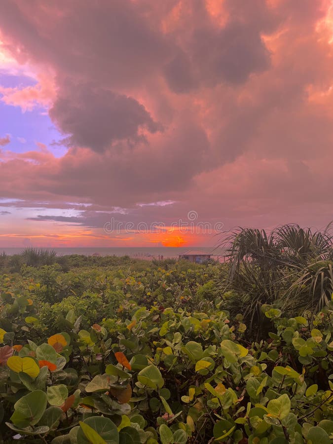 Pink Sunset Evening stock photo. Image of morning, sunrise - 260266658