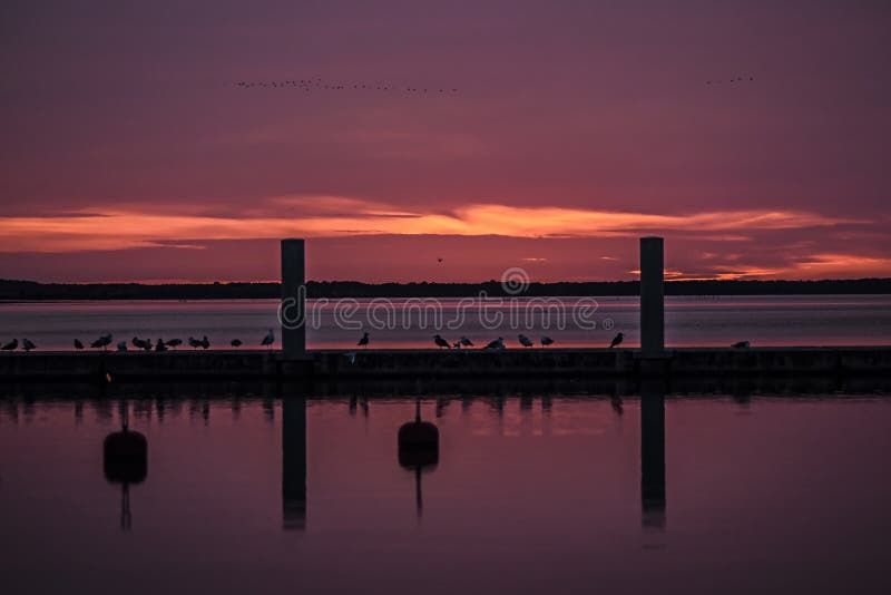 Pink Sunset Inmarine with a Birds Sitting on a Jetty. Stock Image ...