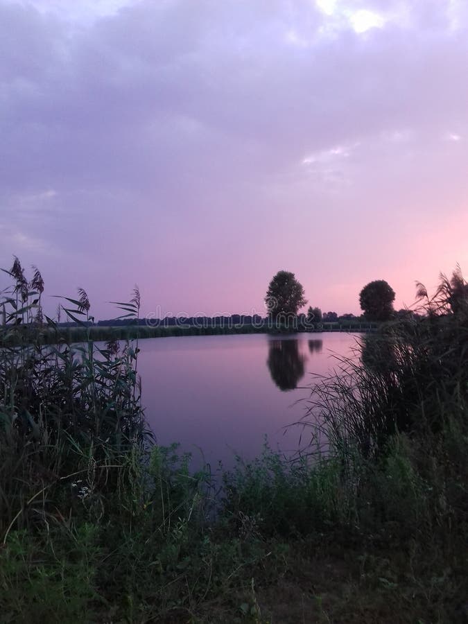 Pink sunset stock image. Image of nature, purple, green - 130487449