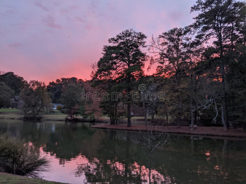 Pink Sunset on Lake with Trees Stock Image - Image of sunrise, evening ...