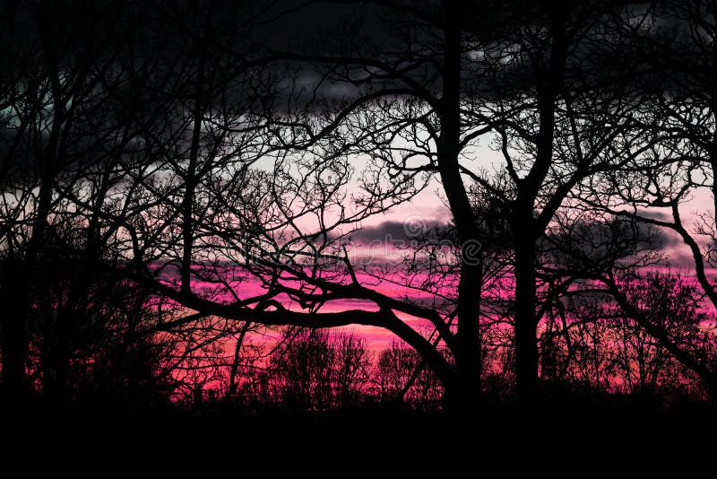 Pink sunset stock image. Image of sunset, dreamscape - 138383993