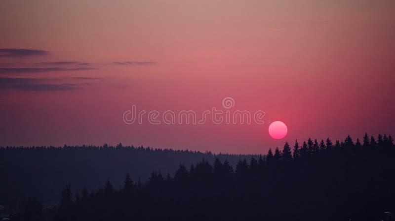 Pink Sunset Over Silhouetted Forest Stock Image - Image of serene ...