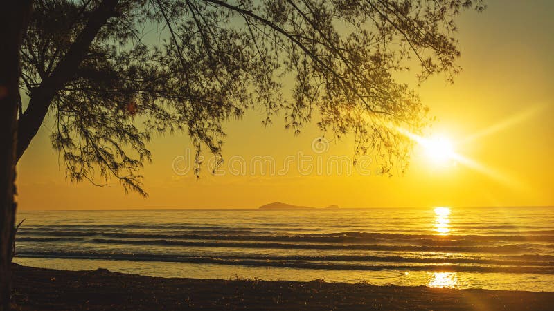 Pink Sunset Over the Smooth Surface of the Black Sea with Pine Trees ...