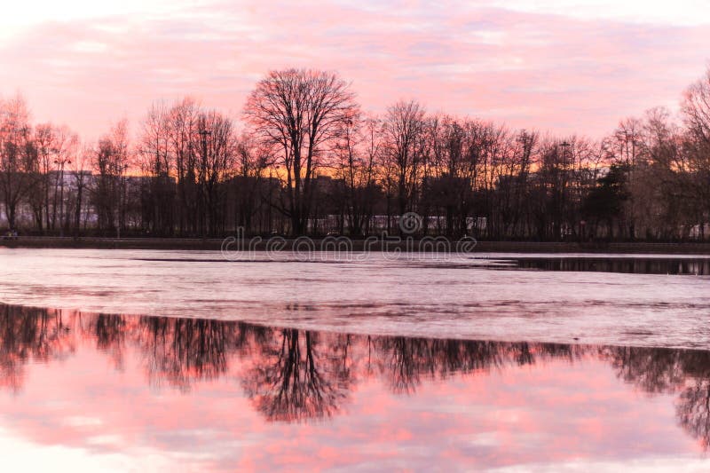 Pink Sunset in the Park, Trees Reflected in the Lake Stock Photo ...