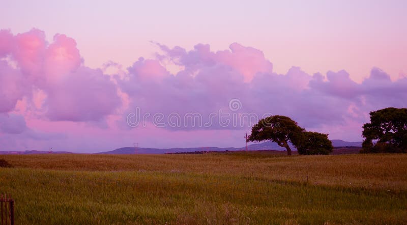 Pink sunset in Sardinia stock photo. Image of scene, evening - 56539706
