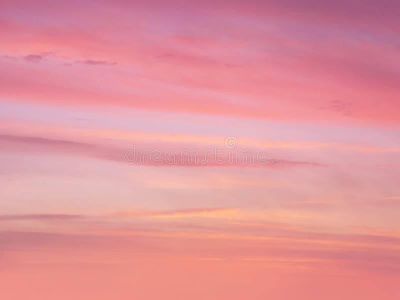 Summer Pink Sunset