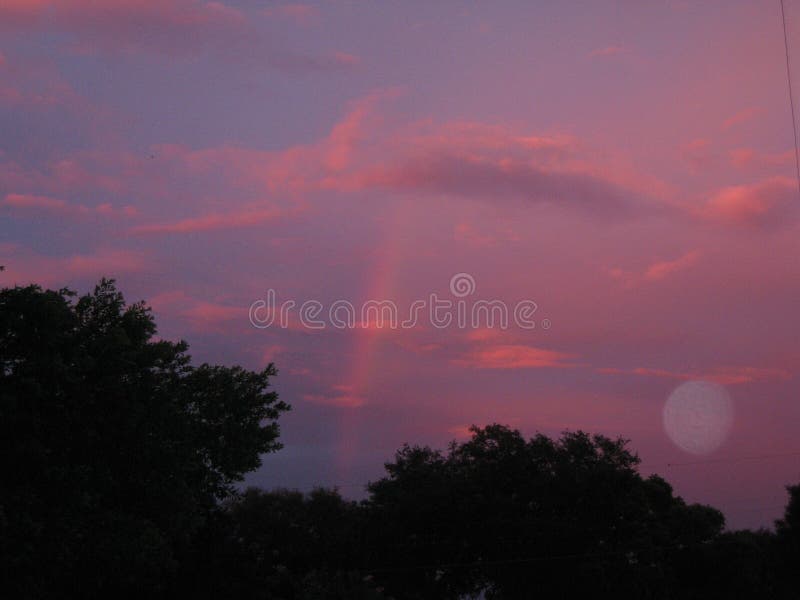 Pink sunset with trees stock image. Image of trees, pink - 181679149